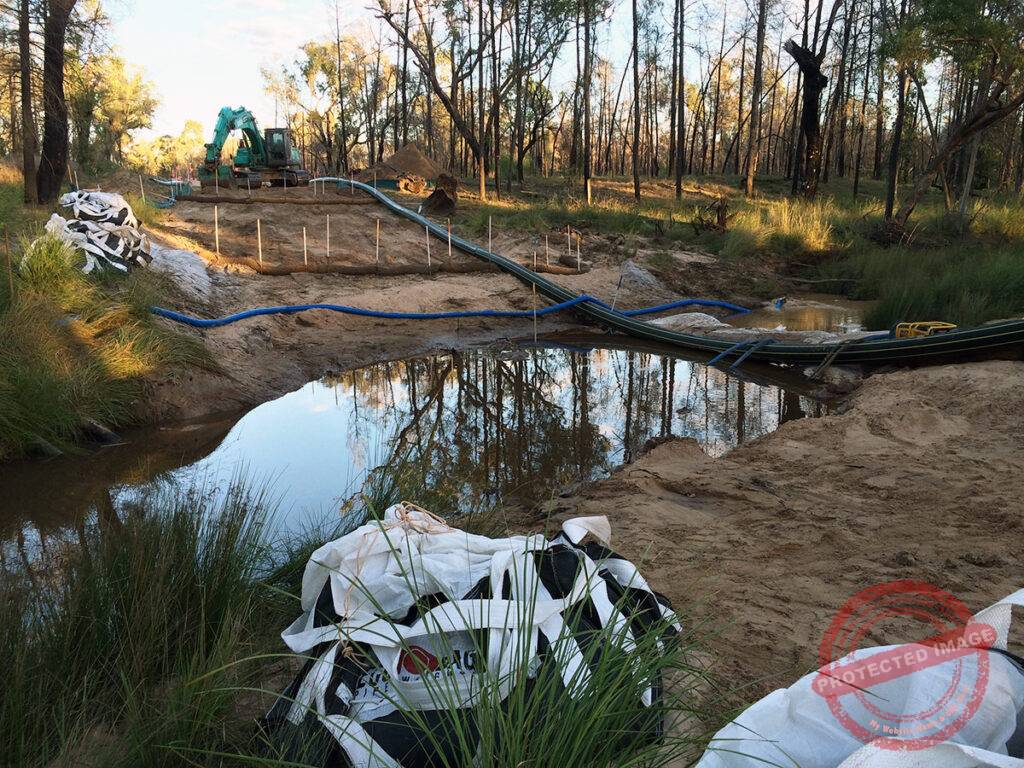 BOC LNG Condamine Project - Fauna Resources