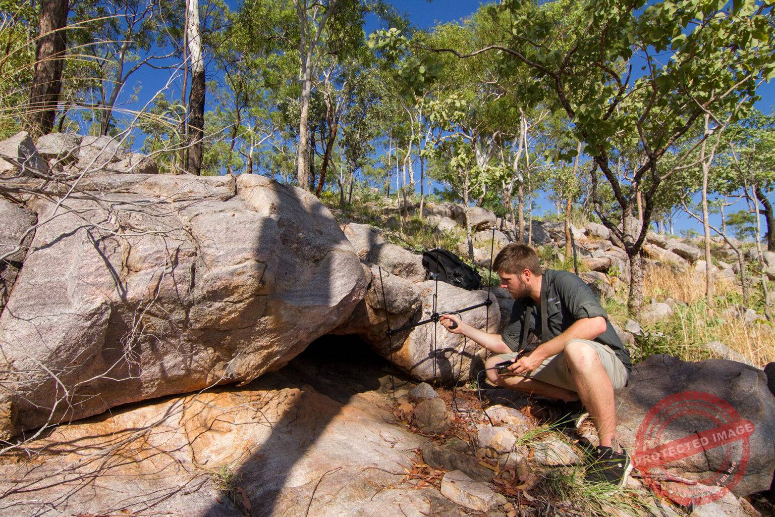 Introducing Toad-smart Northern Quolls into Kakadu National Park ...