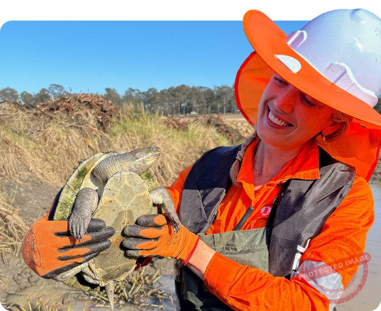 Fauna Spotter Catchers | Accredited Wildlife Relocation Australia