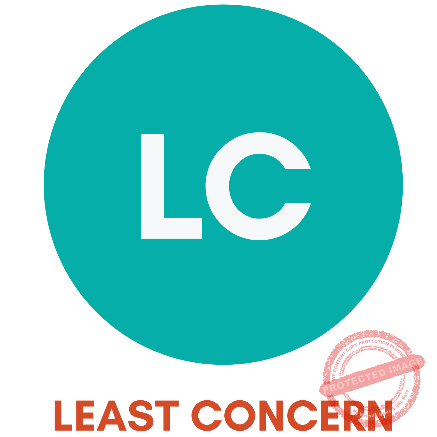 Long-nosed Bandicoot (Perameles nasuta) - Fauna Resources